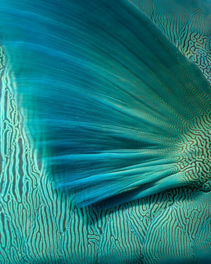 Home - Reed Plummer Images