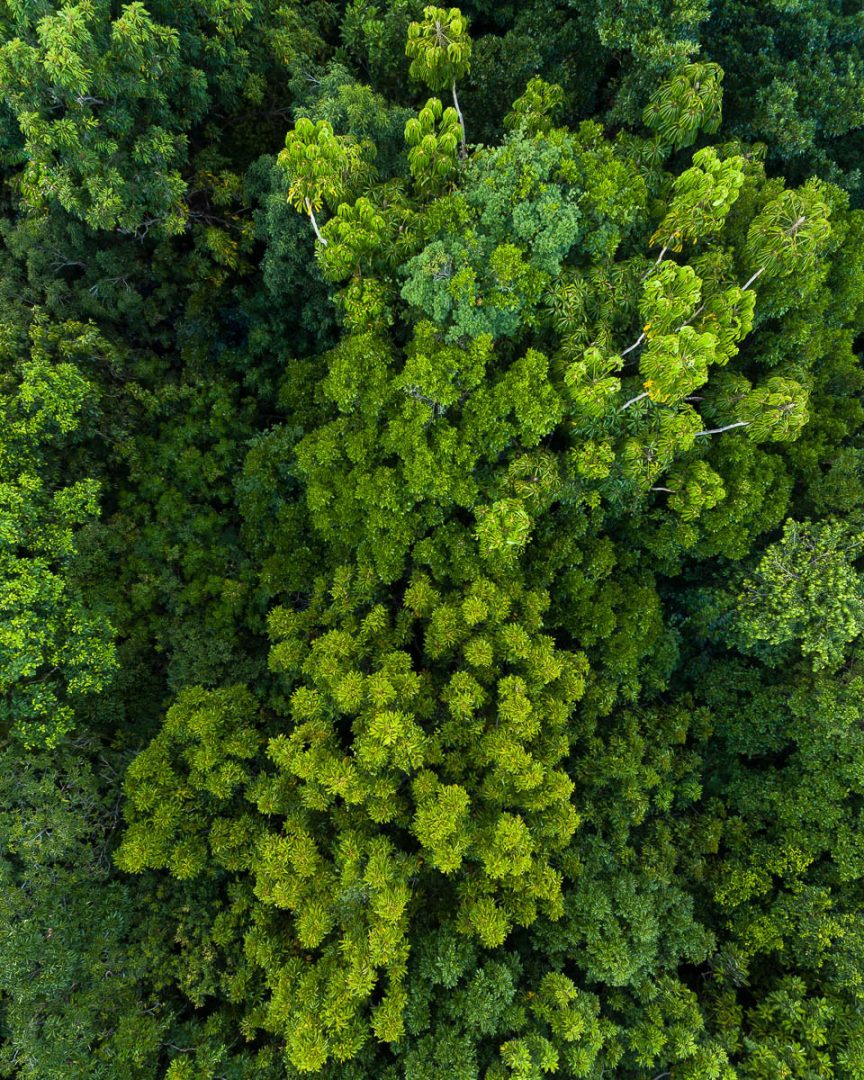 Great Barrier Reef Archives - Reed Plummer Images